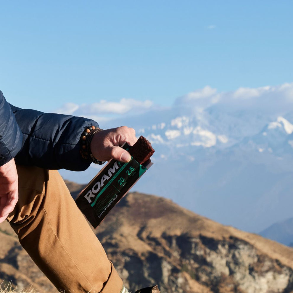 Grass Fed Beef Protein Bars | Salt, Pepper & Porcini | ROAM Foods ...